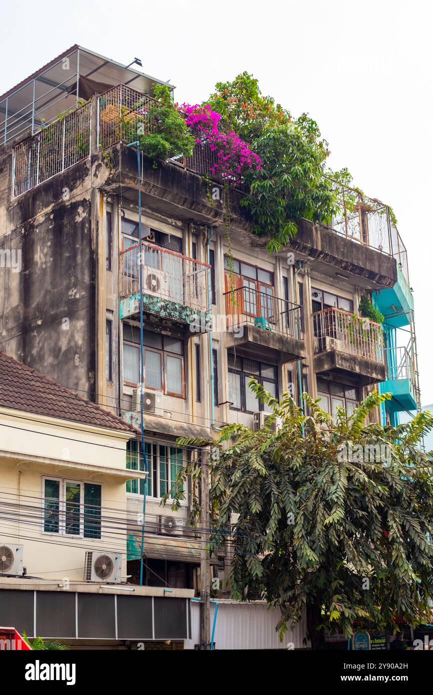 Authentic old block house with balconies and flower garden on the roof ...