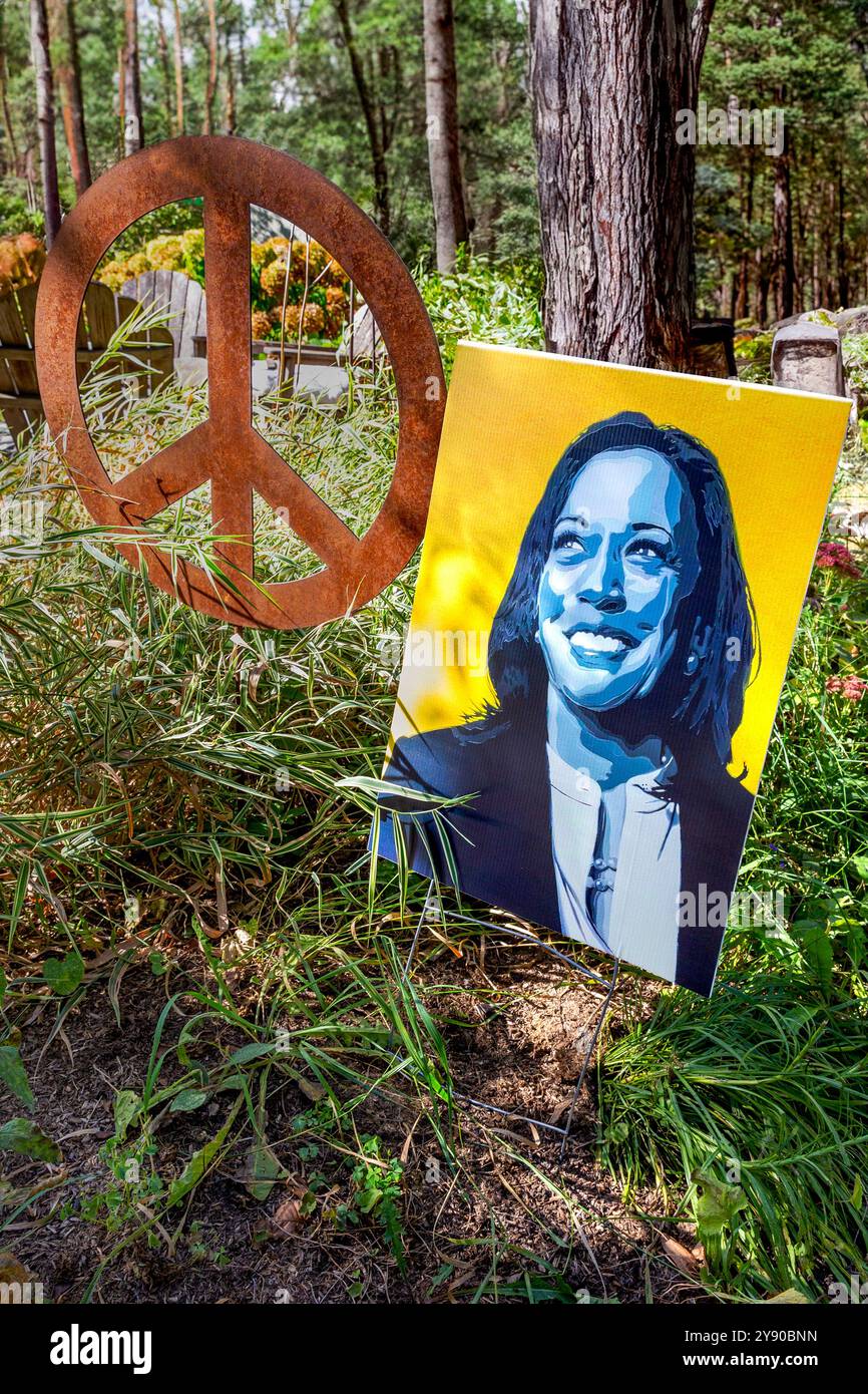 A 2024 presidential election year yard sign with a painted portrait of ...