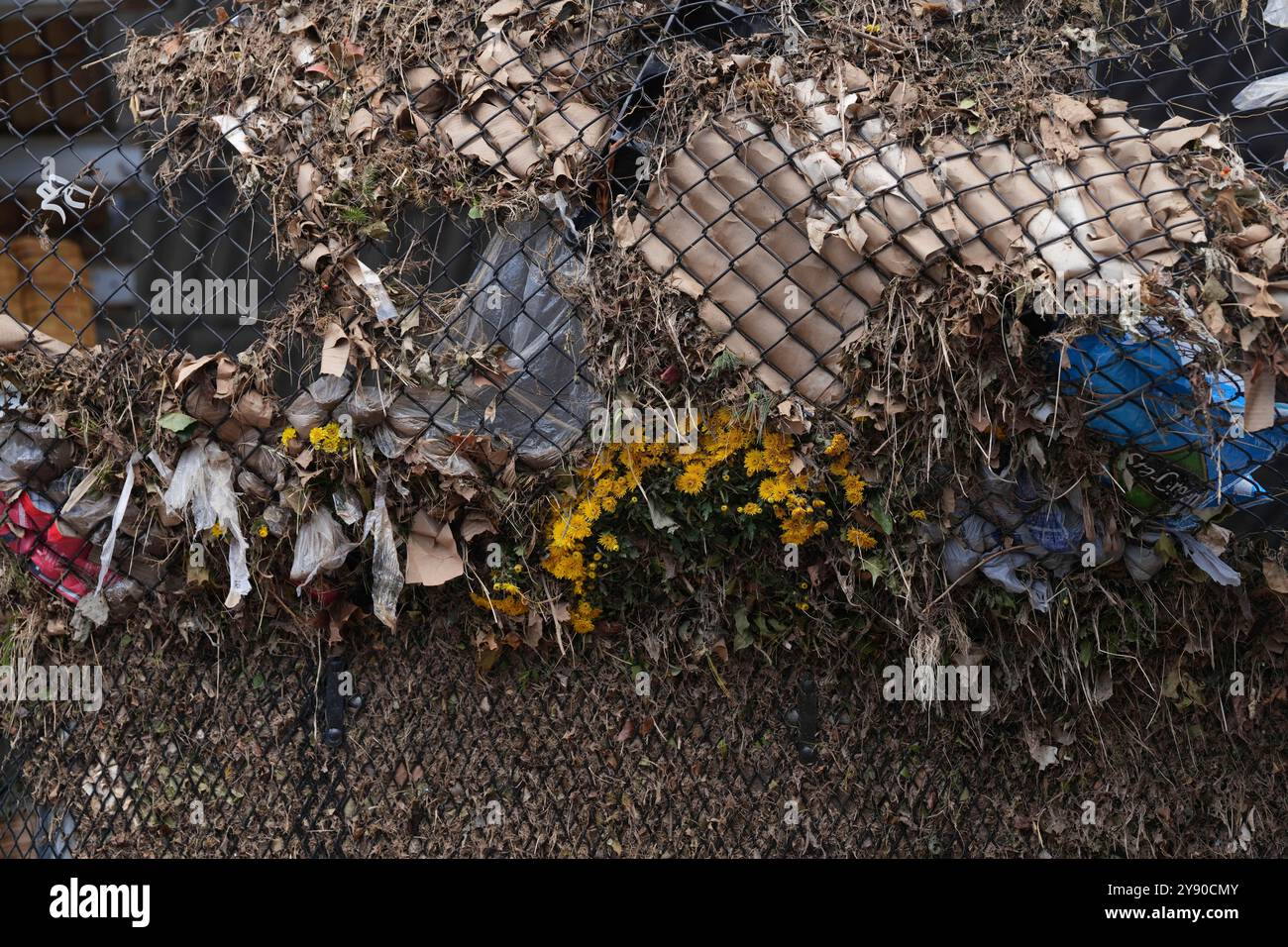 Asheville, N.C. (Oct. 2, 2024) - Debris clings to structures, marking ...