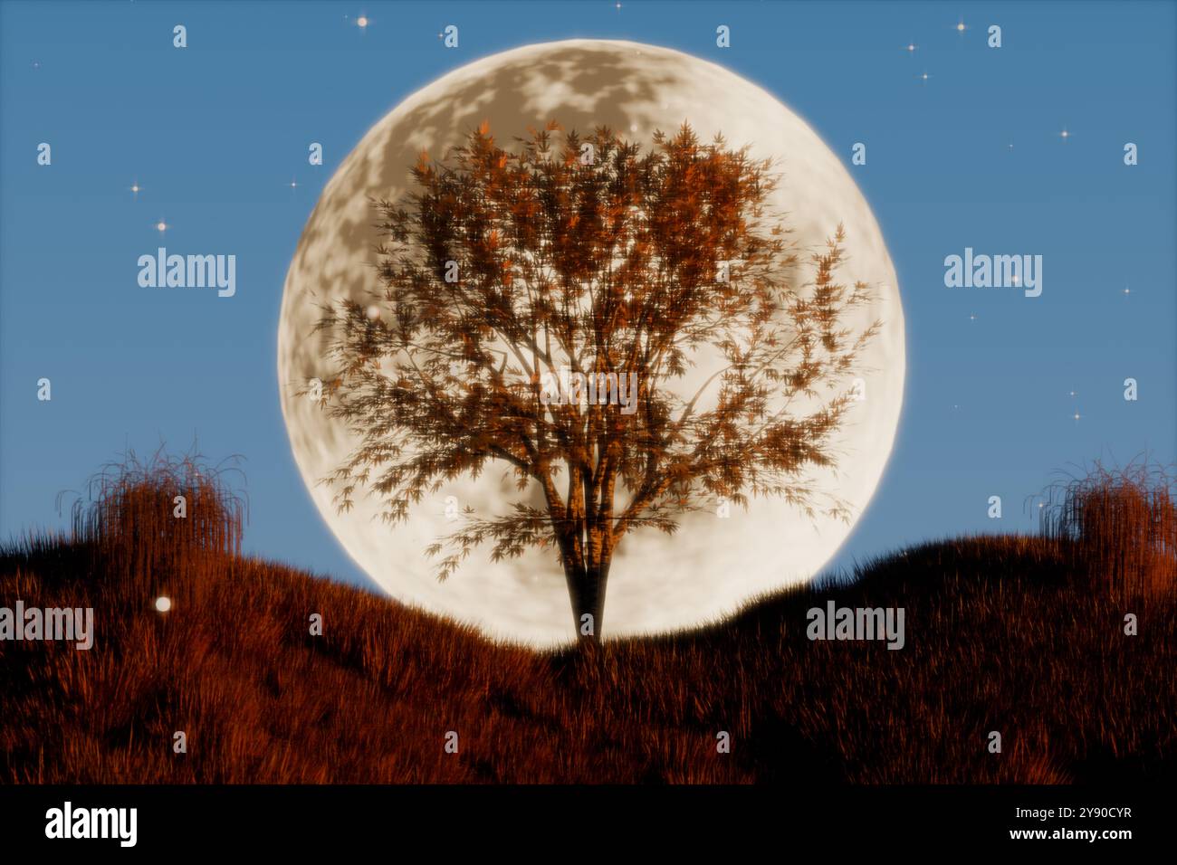 Night moon rises on horizon hi-res stock photography and images - Alamy