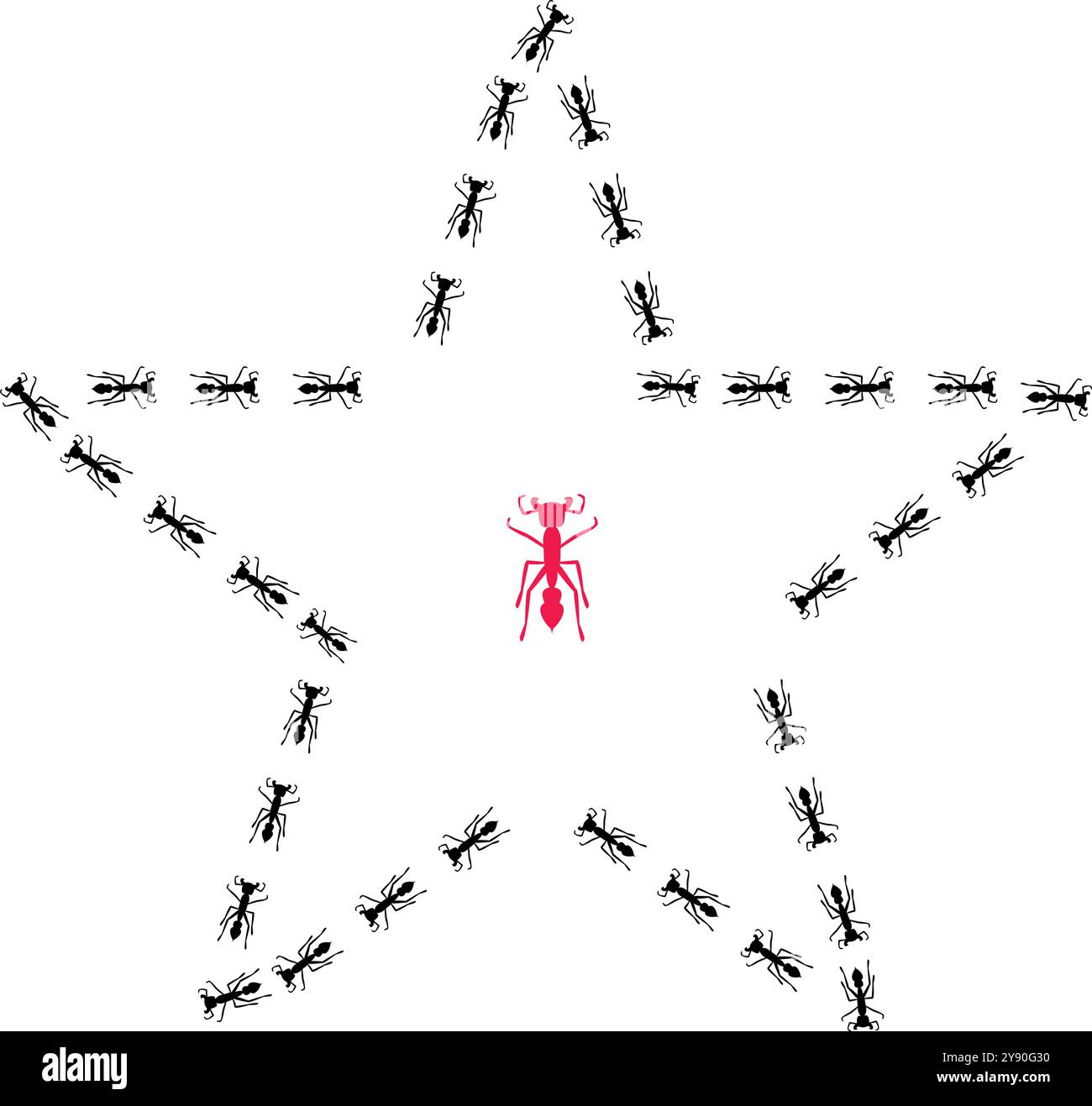 Star shape ant trail with one unique ant in the middle. Unique person ...