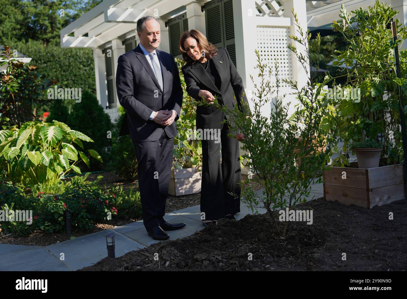 Democratic presidential nominee Vice President Kamala Harris, right ...