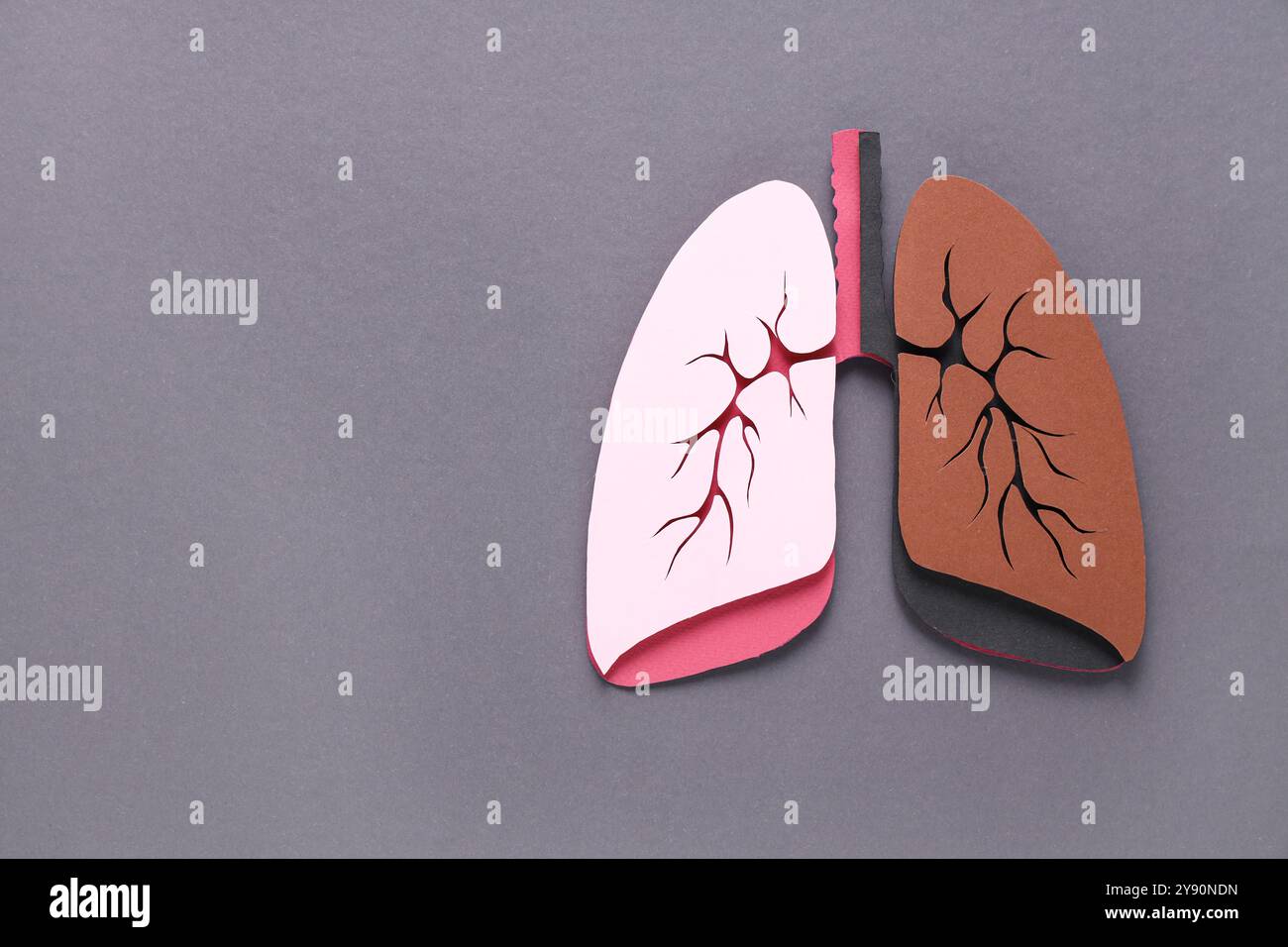Paper lungs on dark background Stock Photo - Alamy