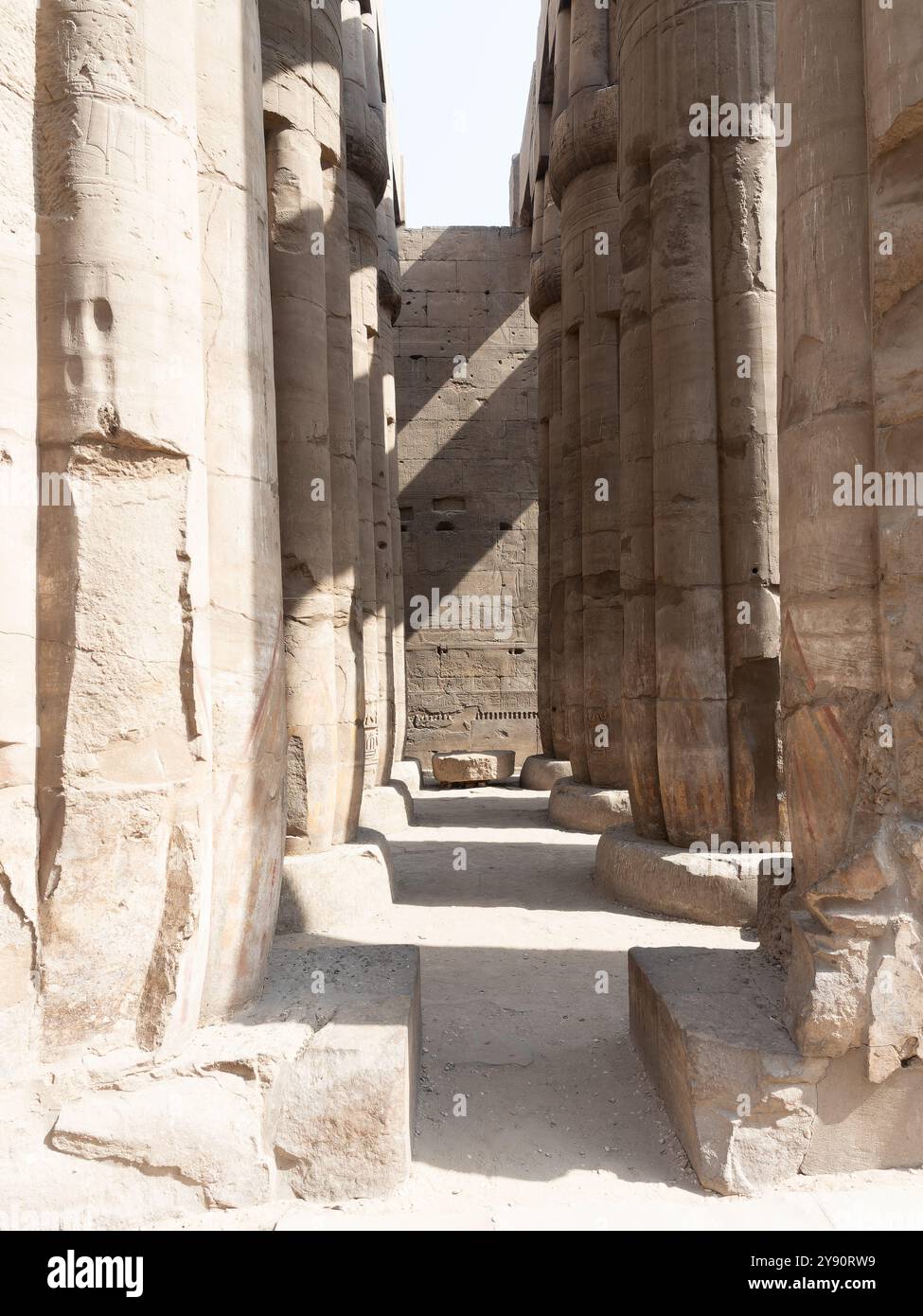 Panoramic view of the temple and columns of Luxor in Egypt Stock Photo ...
