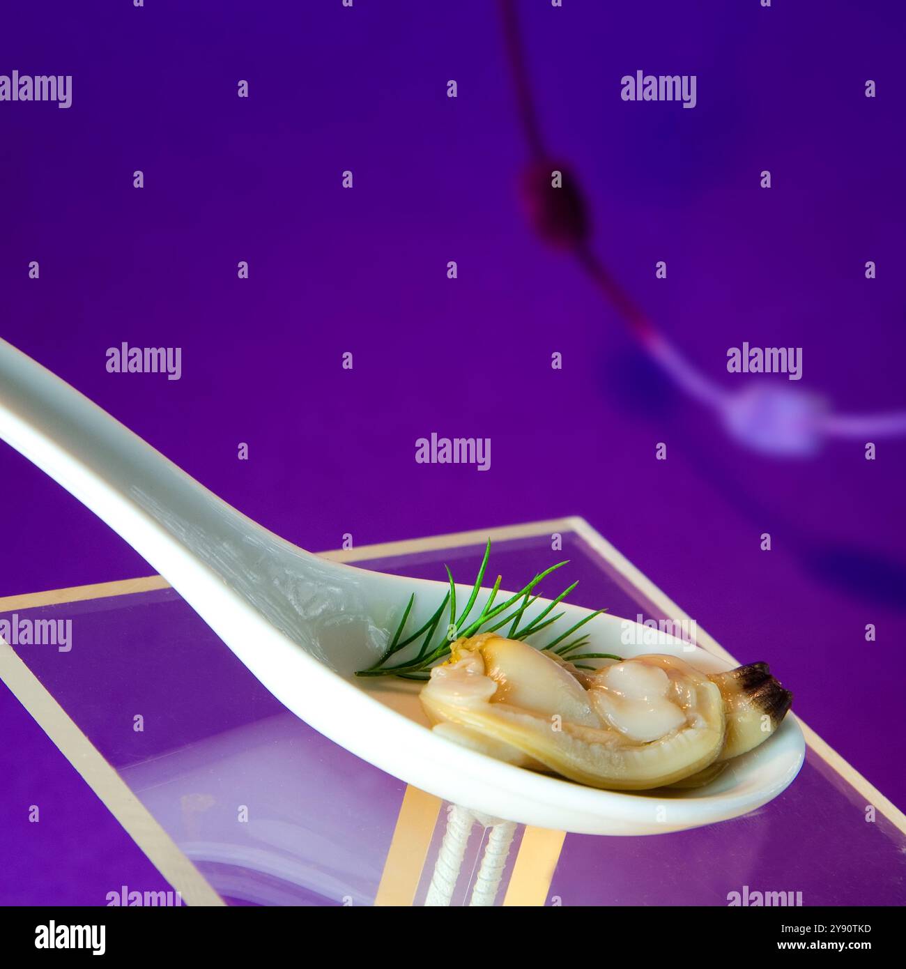 Hermaphrodites hi-res stock photography and images - Alamy