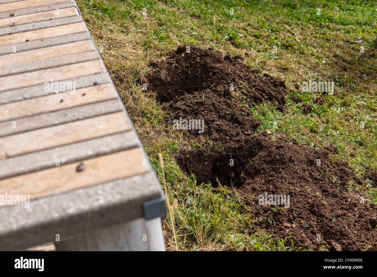 Two holes in ground ready for flowers or bushes. Man made holes in soil ...