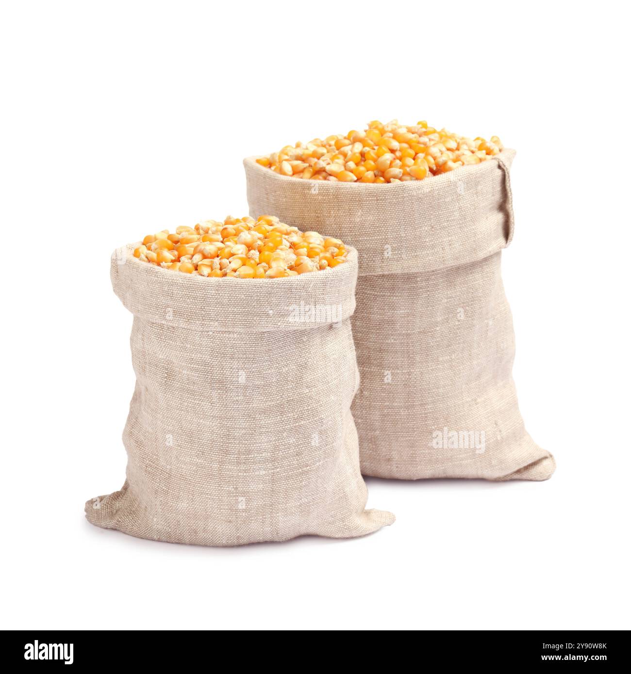 Fresh corn kernels in burlap sacks isolated on white Stock Photo - Alamy