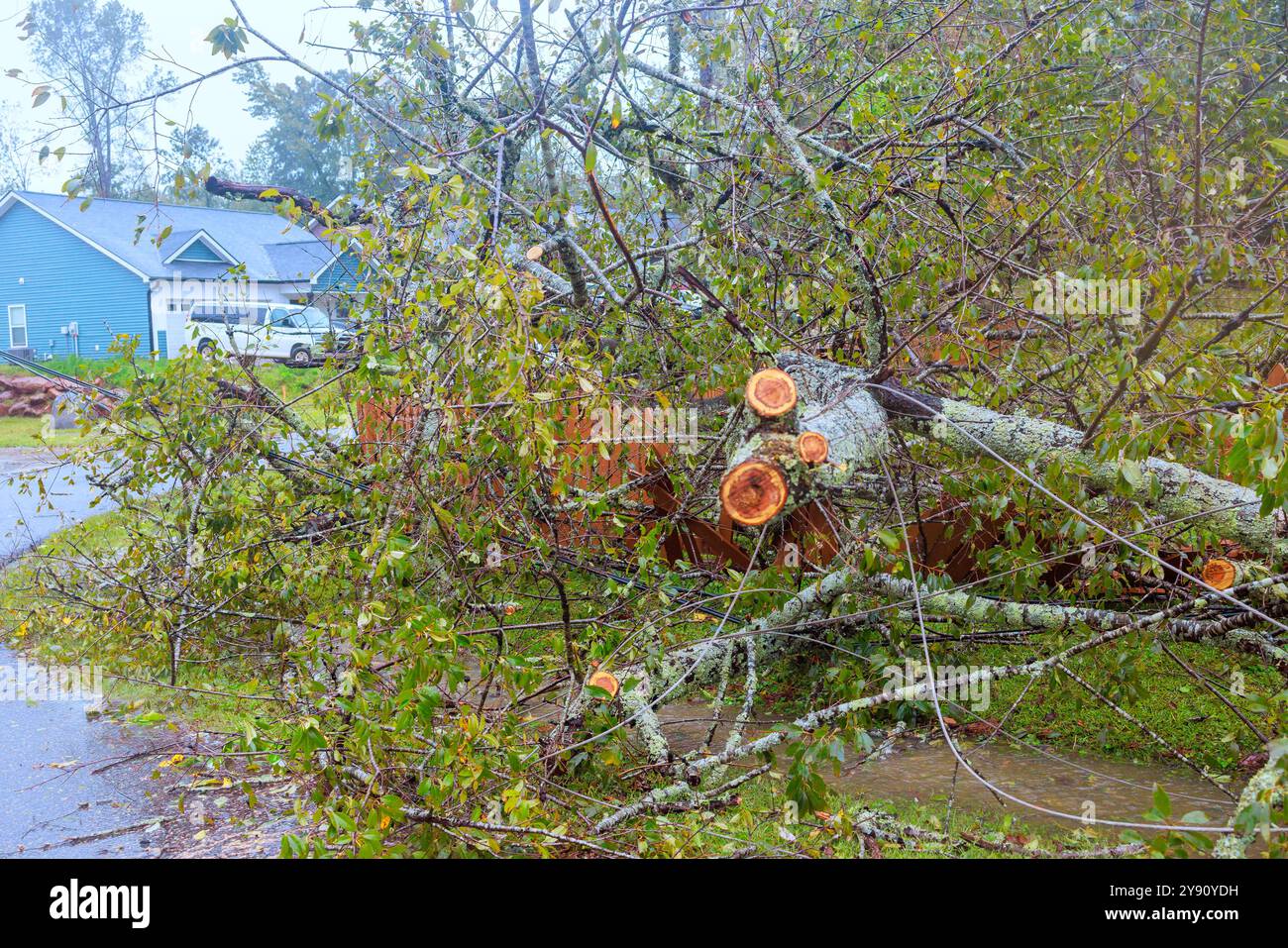 Trees that fell during hurricane damaged fences around houses Stock ...