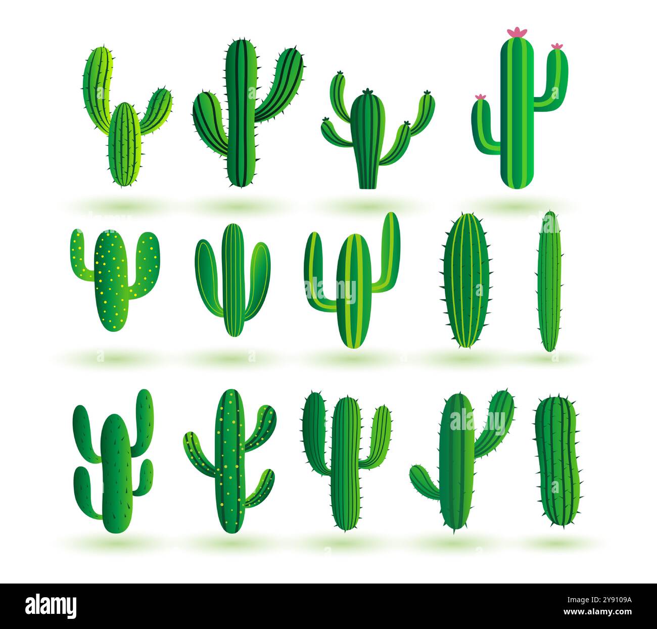 collection of wild and dry cactus plant background design vector Stock ...