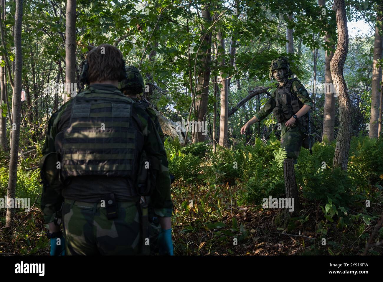 Swedish service members carry a simulated casualty to a casualty ...