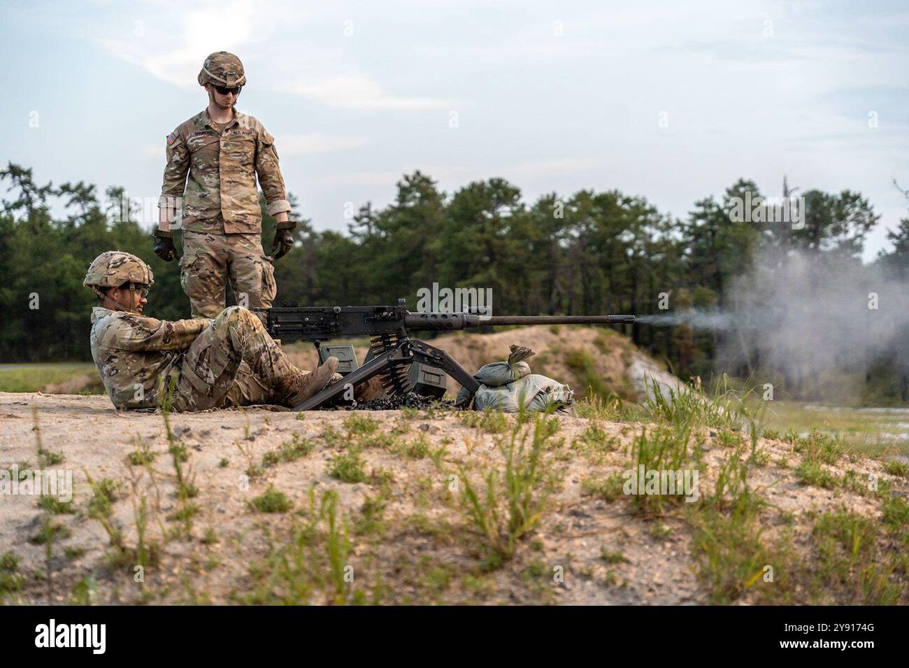 New York Army National Guard Soldiers assigned to the 719th Composite ...
