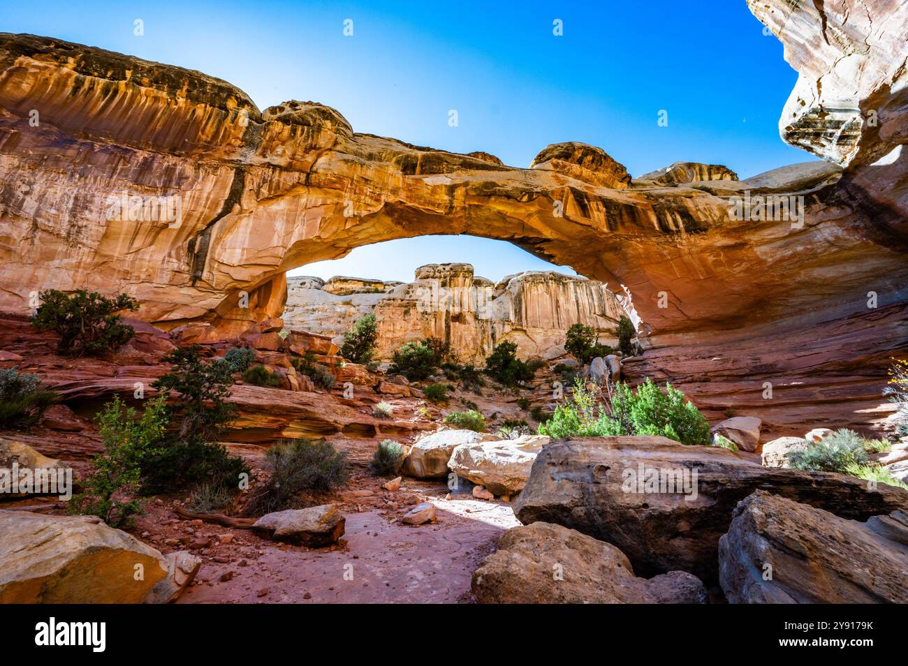 Capitol Reef National Park's Hickman Bridge in the Fall of 2024 during ...