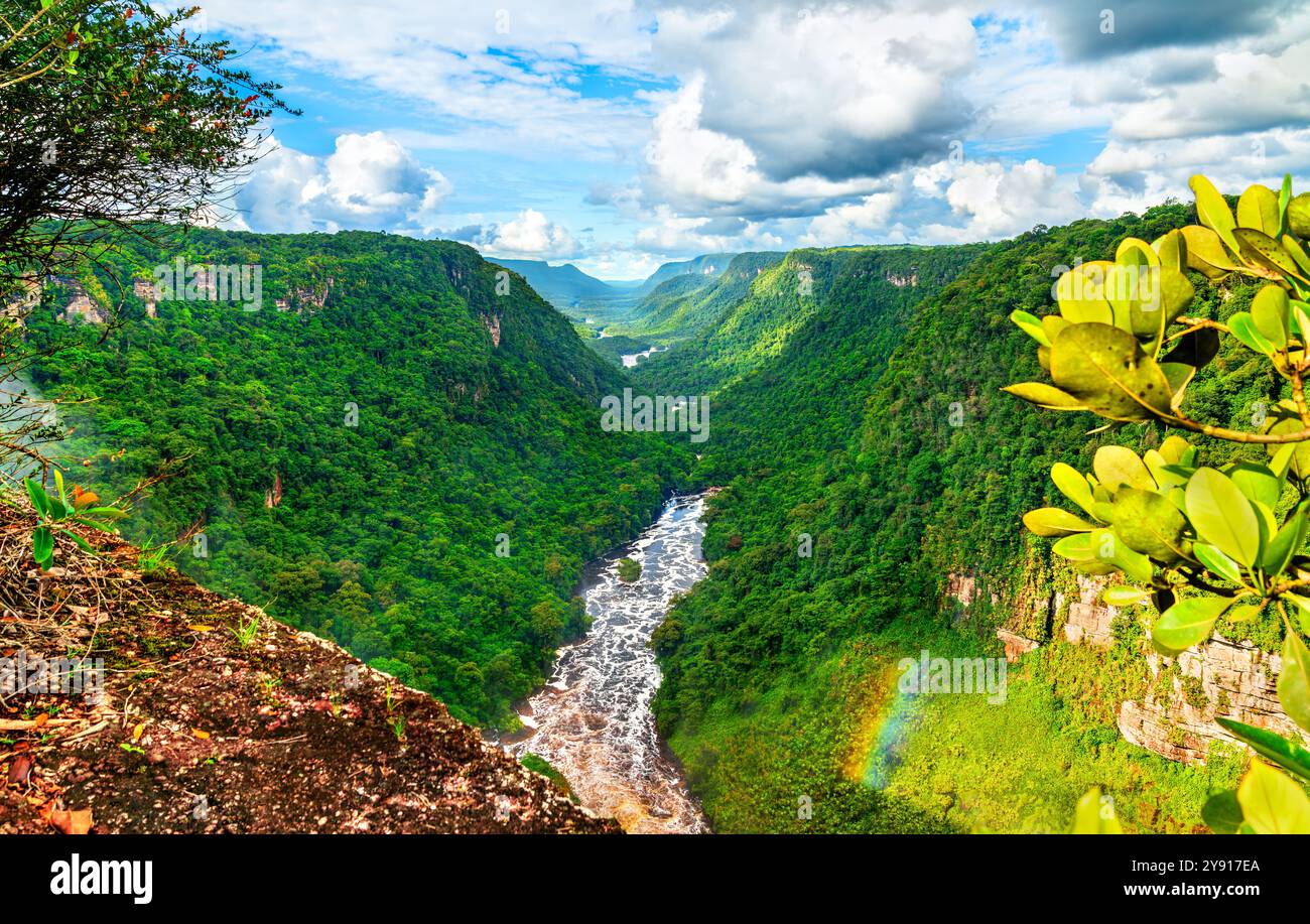The Potaro river valley under Kaieteur Falls in the Amazon rainforest ...