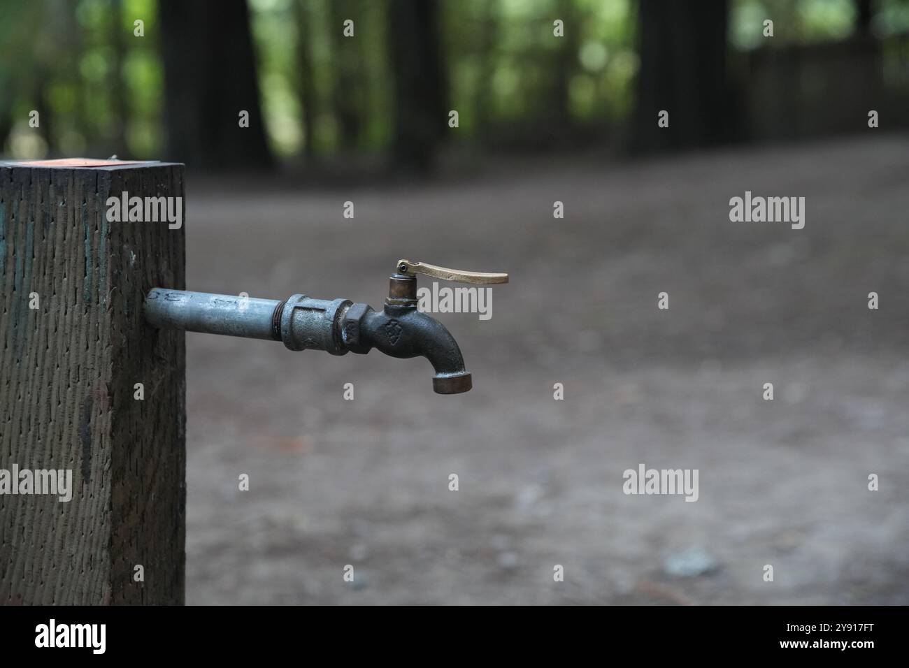 Water spigot at campground. Forest backdrop Stock Photo - Alamy
