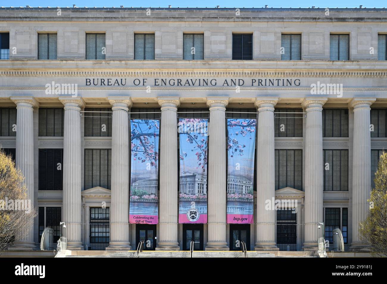 Banner de sakura hi-res stock photography and images - Alamy