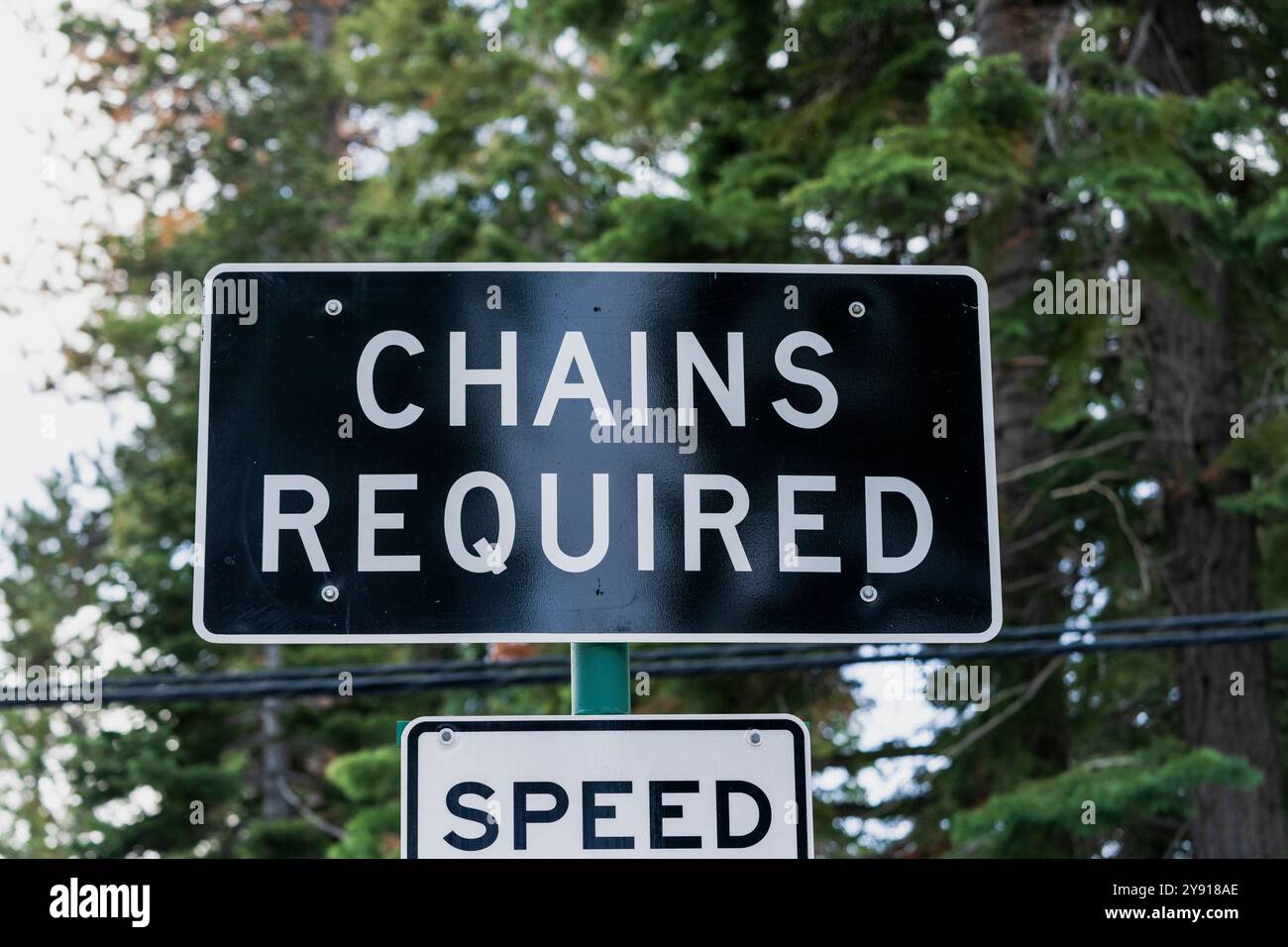 "Chains Required Sign" in Sierra Nevada Mountains. Forest backdrop ...