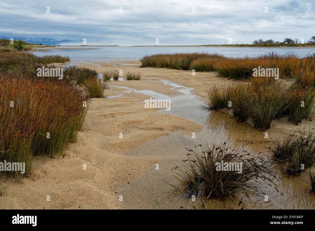 Low tide on the Karamea estuary walkway, looking south along the coast ...