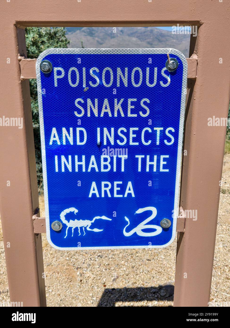 Snakes of desert hi-res stock photography and images - Alamy