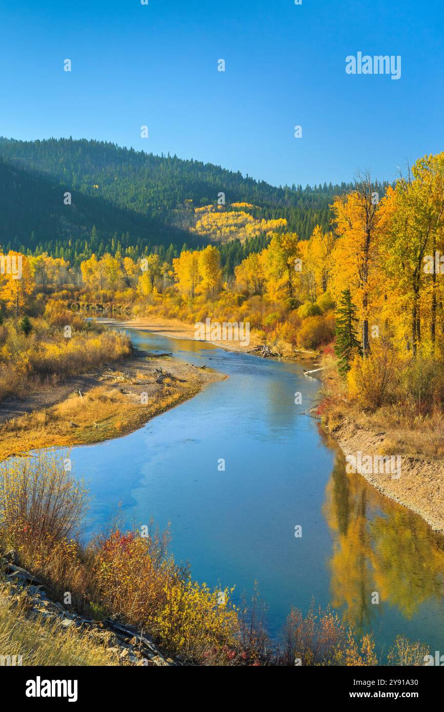 fall colors along the blackfoot river near lincoln, montana Stock Photo ...