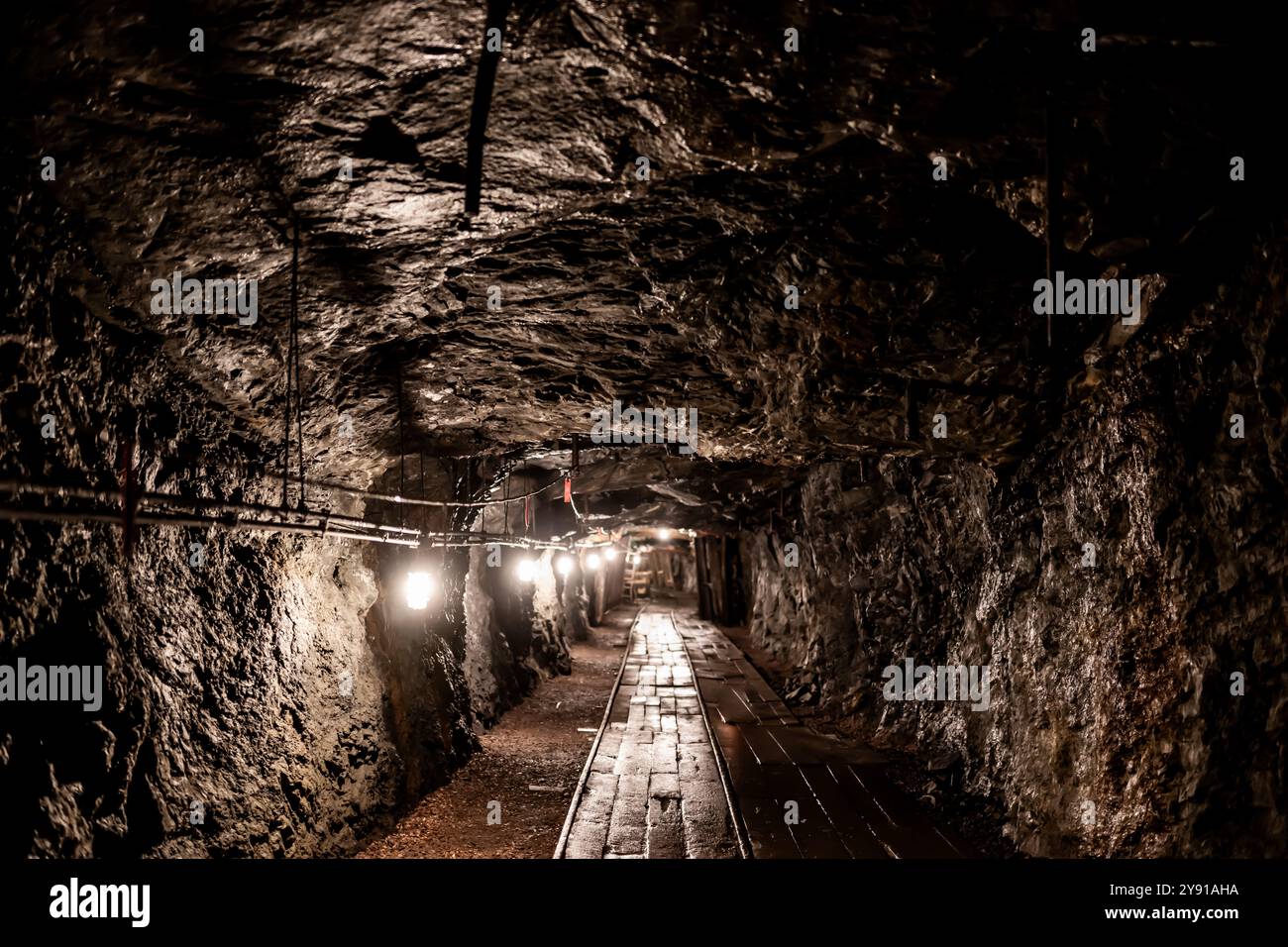 Mcdade park hi-res stock photography and images - Alamy