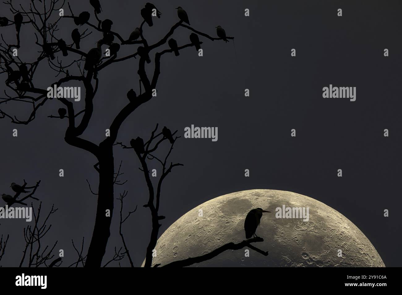 Partially visible picture hi-res stock photography and images - Alamy