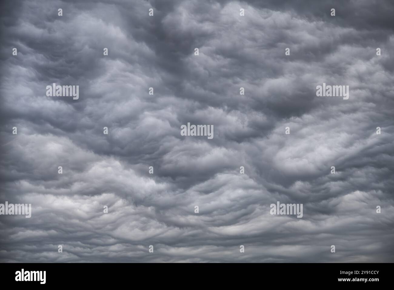 Structured format hi-res stock photography and images - Alamy