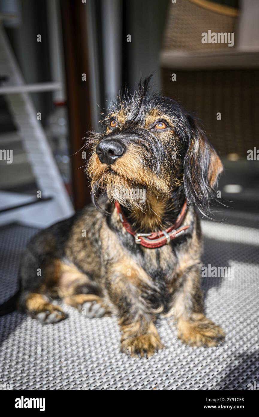 Balcony looks hi-res stock photography and images - Alamy