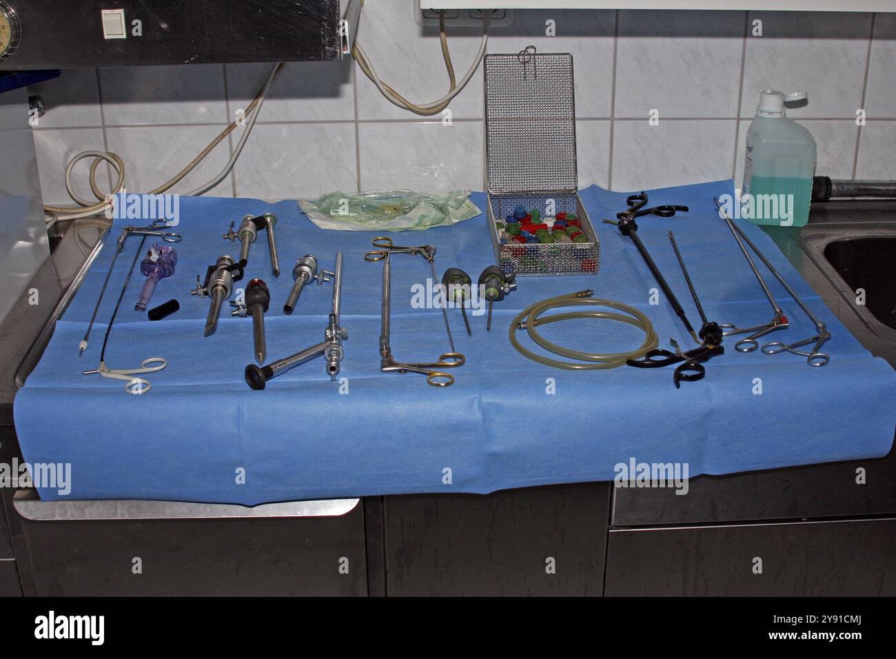 Vet, castration of a dog, male dog, surgical instruments Stock Photo ...