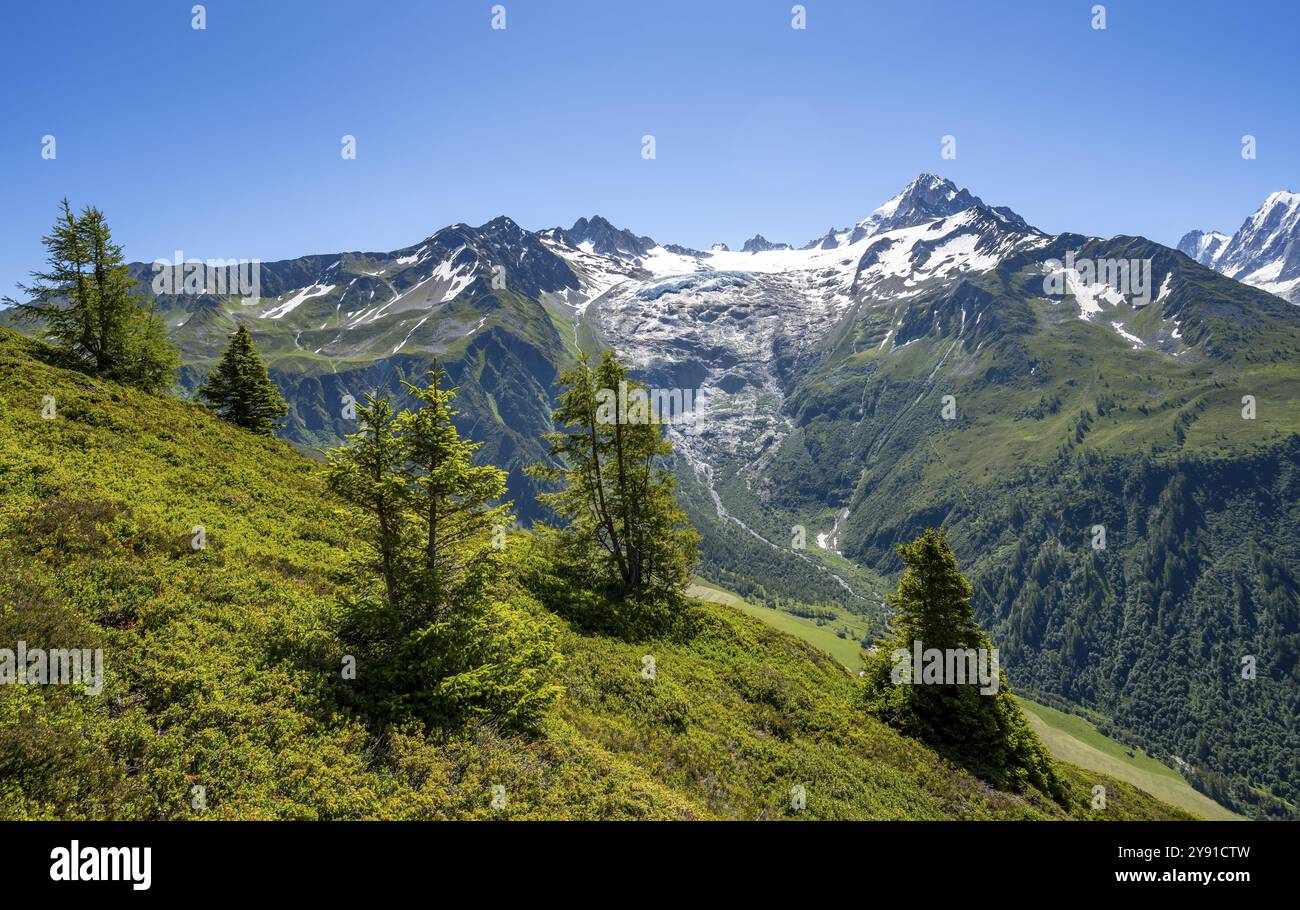 Mountain panorama with glaciated mountain peaks, Aiguille de Chardonnet ...