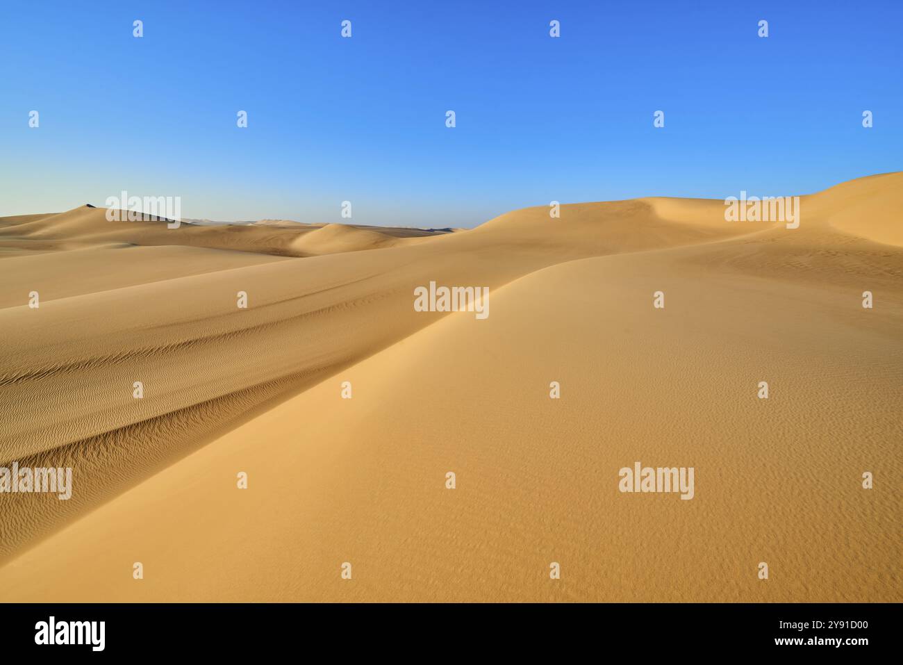 Wide sand dunes under a blue sky in the desert, Matruh, Great Sand Sea ...