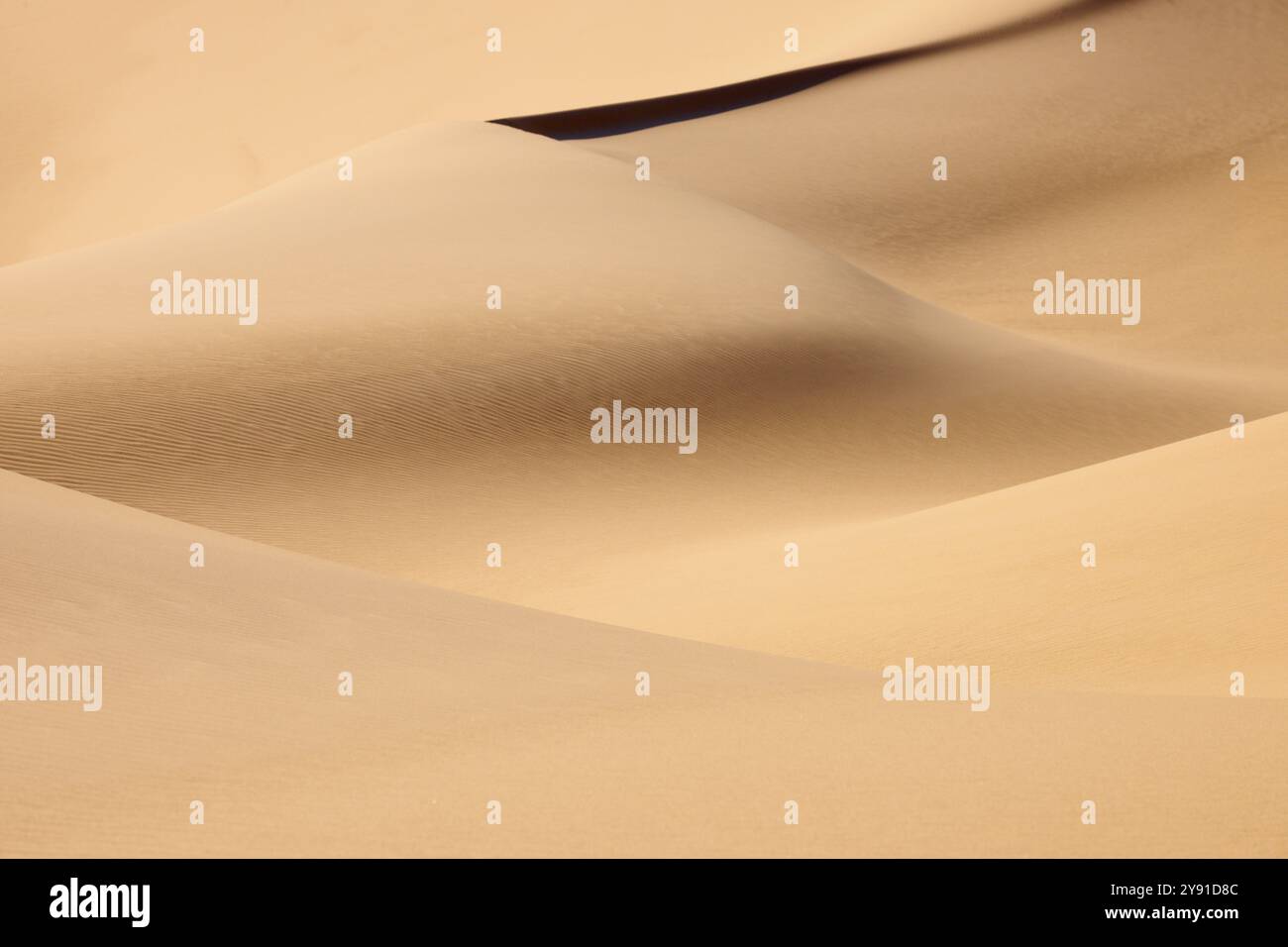 Soft, undulating sand dunes with gentle, natural colours in a desert ...