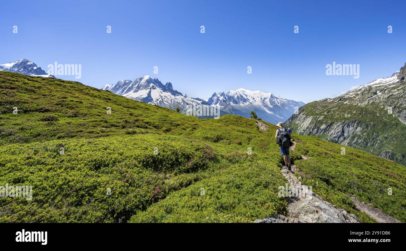 Mountaineer on hiking trail, mountain panorama with glaciated mountain peaks, Aiguille Verte ...