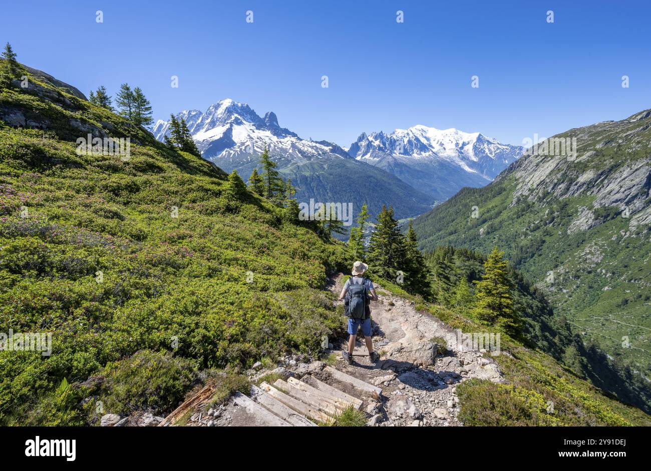 Mountaineer on hiking trail, mountain panorama with glaciated mountain peaks, Aiguille Verte ...