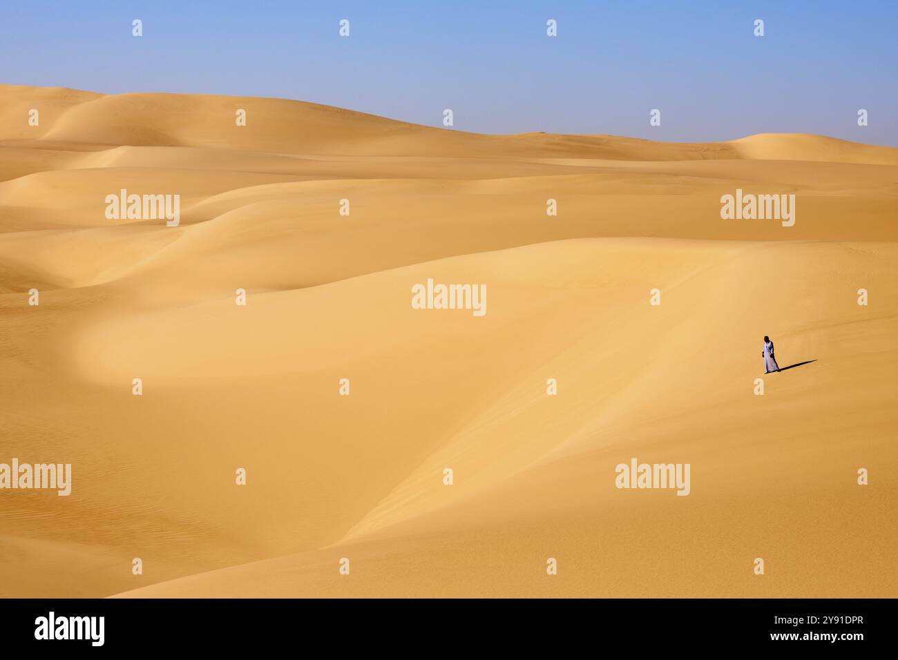 Single person standing in a vast, golden yellow dune landscape under a ...