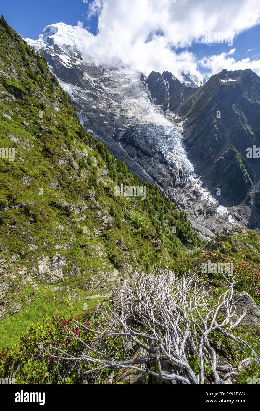 Impressive mountain landscape with glacier, view of glacier Glacier de ...