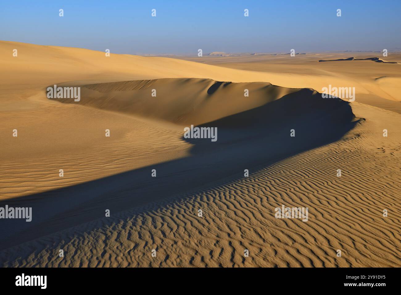 Wide sand dunes with clear lines and shadows under a blue sky in the ...