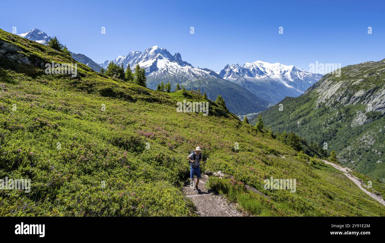 Mountaineer on hiking trail, mountain panorama with glaciated mountain peaks, Aiguille Verte ...