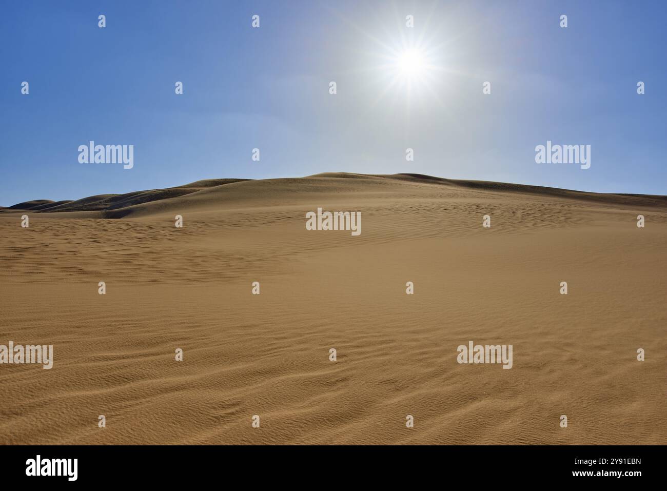 Sunny desert landscape with sand dunes under a clear blue sky, Matruh ...