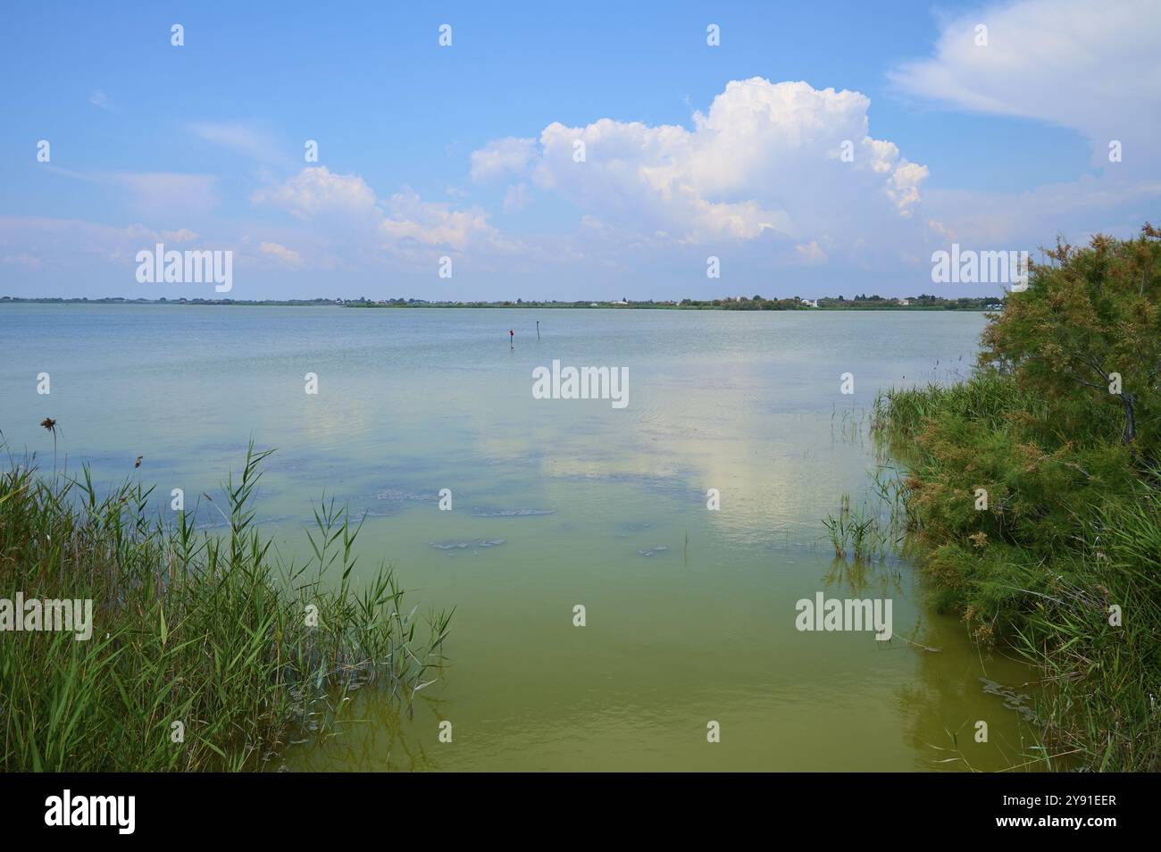 Tranquil lakeside landscape, Etang des Launes, with blue sky and clouds ...