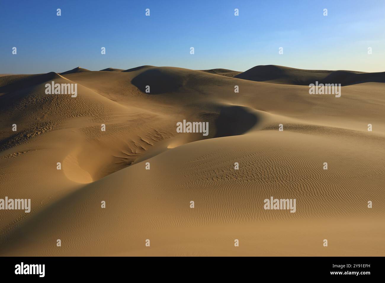 Gentle sand dunes in a vast desert landscape under a clear blue sky ...