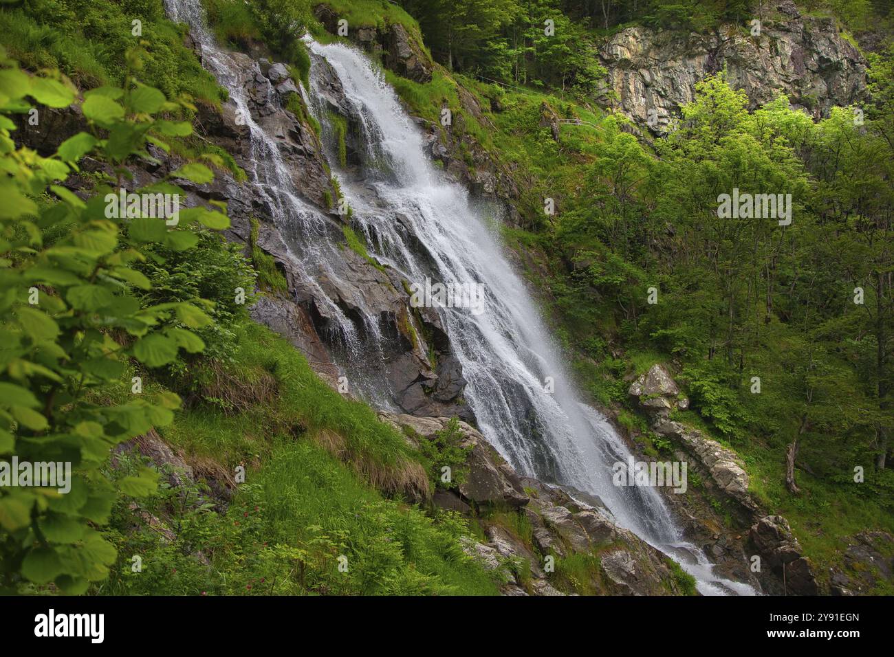 A waterfall flows powerfully over rocks in a dense, green forest ...