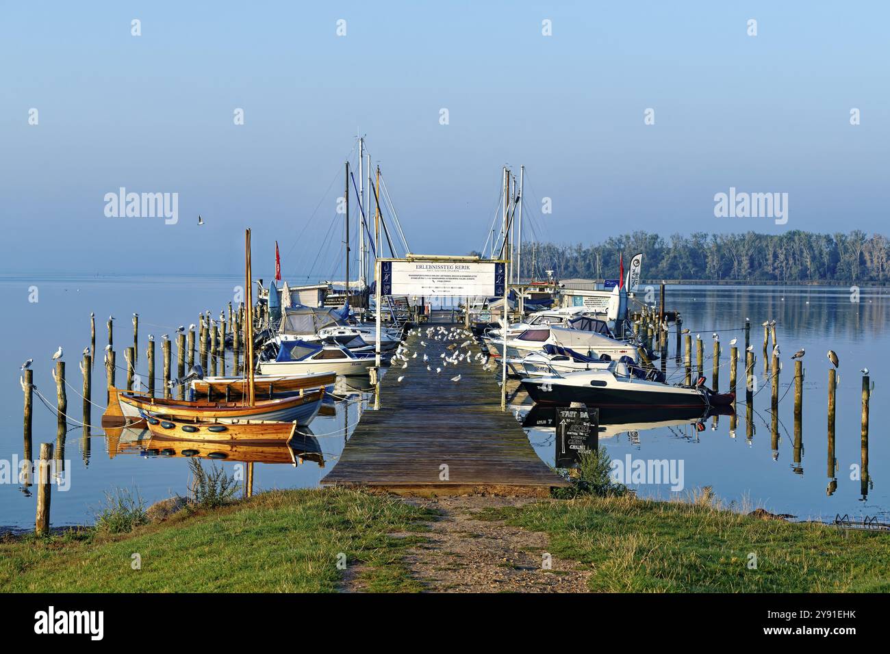 Long jetty with docked boats and seagulls. Clear skies and calm water ...