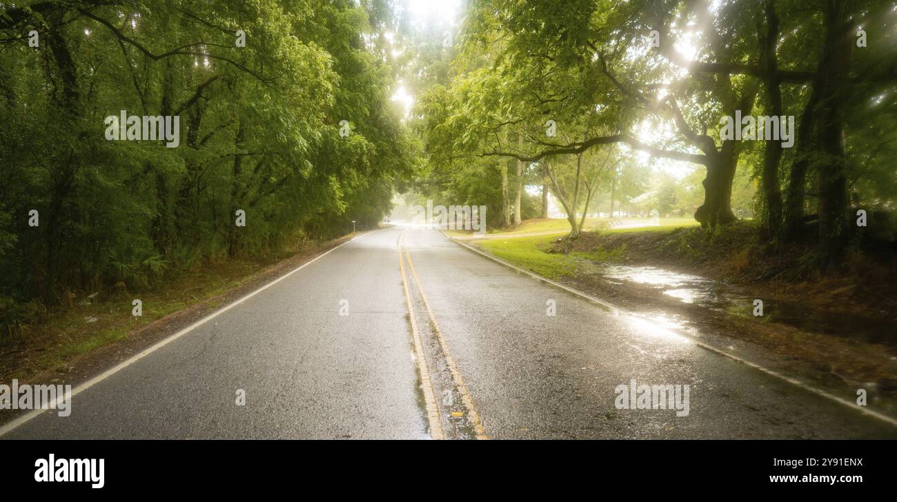 The pavement is wet as it rains on the road through southern ...