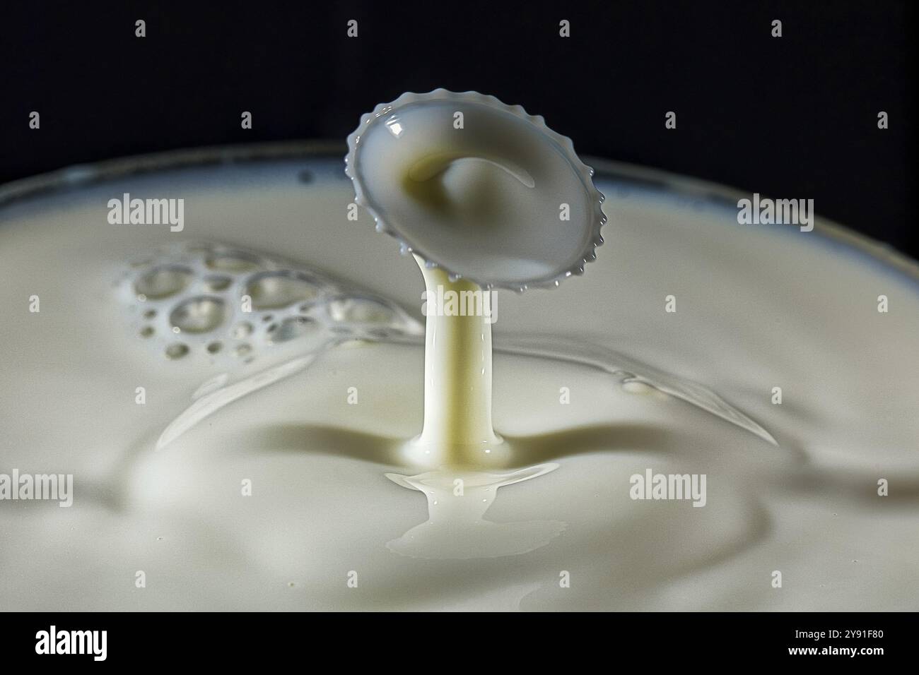 A drop of milk falls and forms a splash-like structure on the surface ...