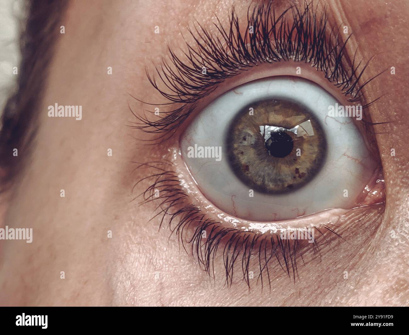 Female wide open eyes long hi-res stock photography and images - Alamy