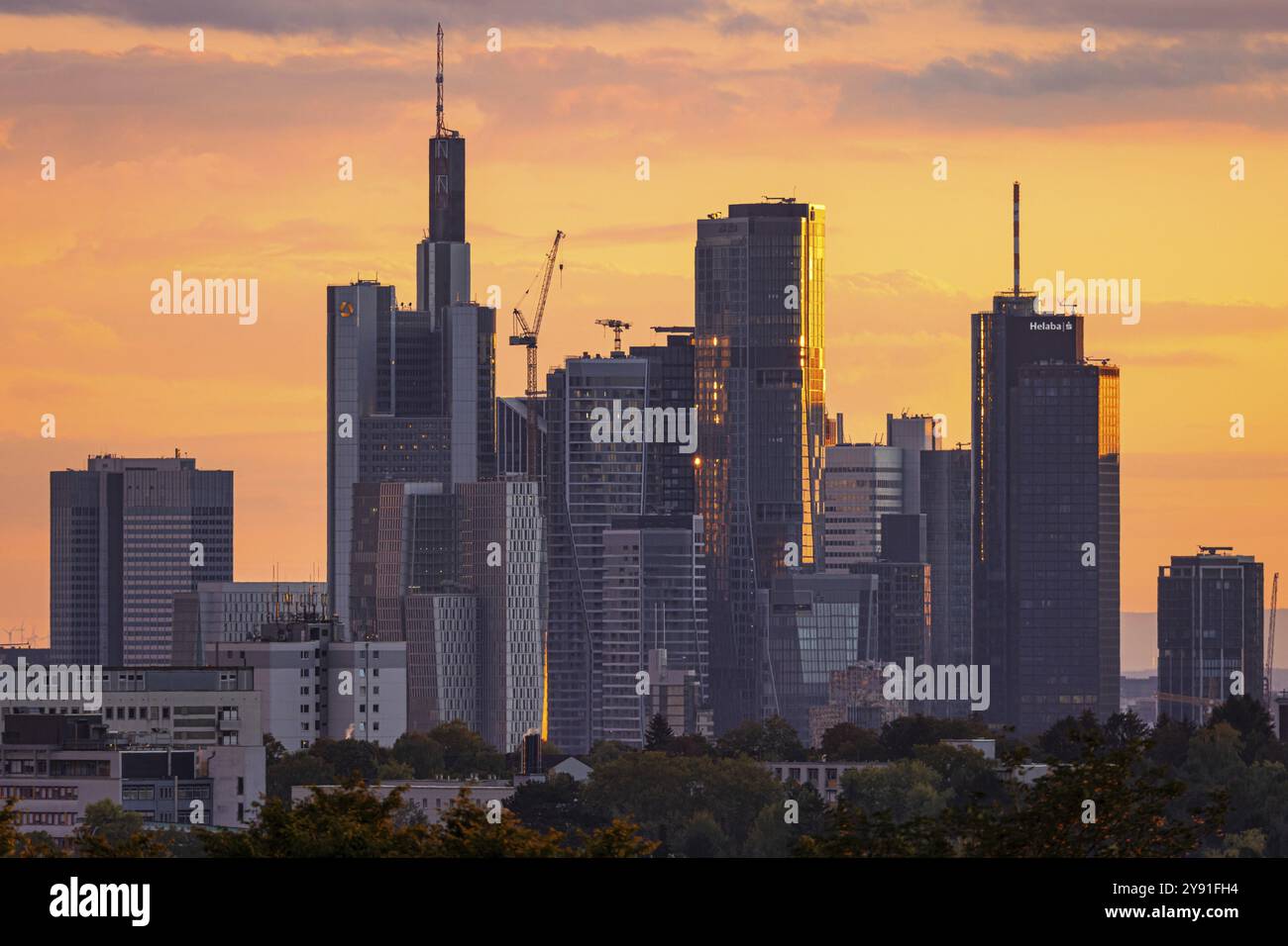 The light of the setting sun falls sideways onto the skyscrapers of ...