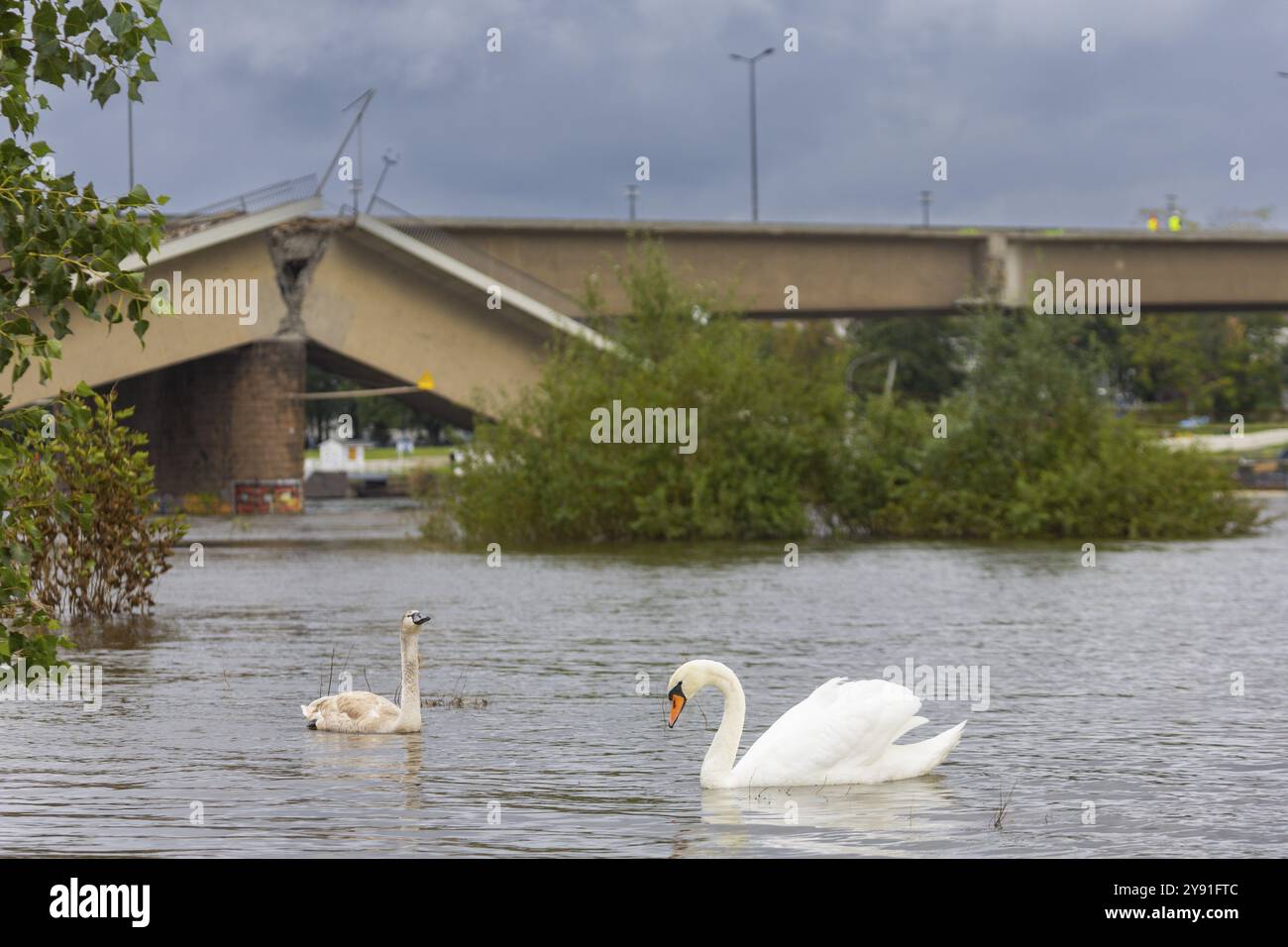 A section of the Carola Bridge has collapsed. Over a length of around ...