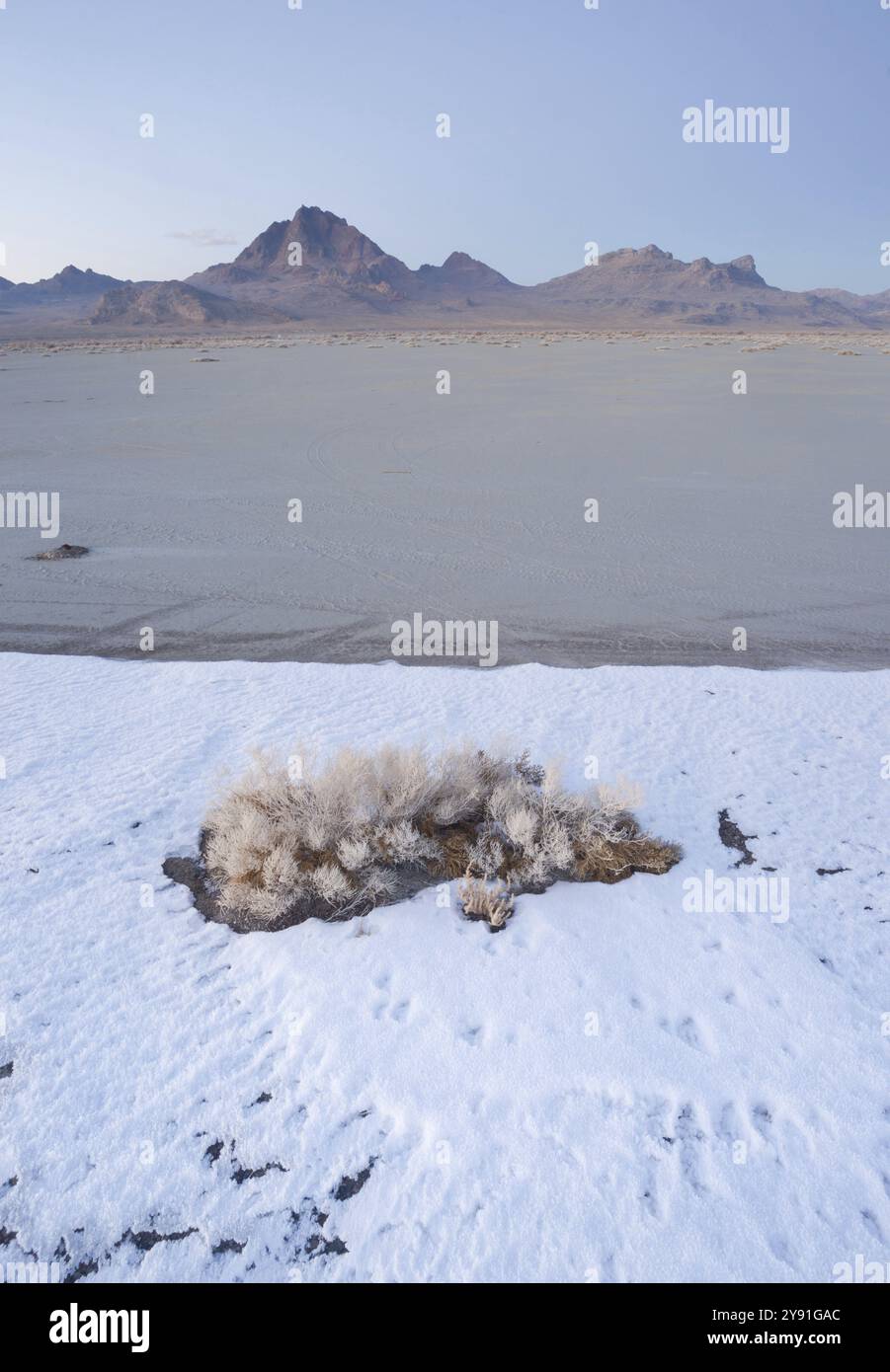 United states salt flats hi-res stock photography and images - Alamy