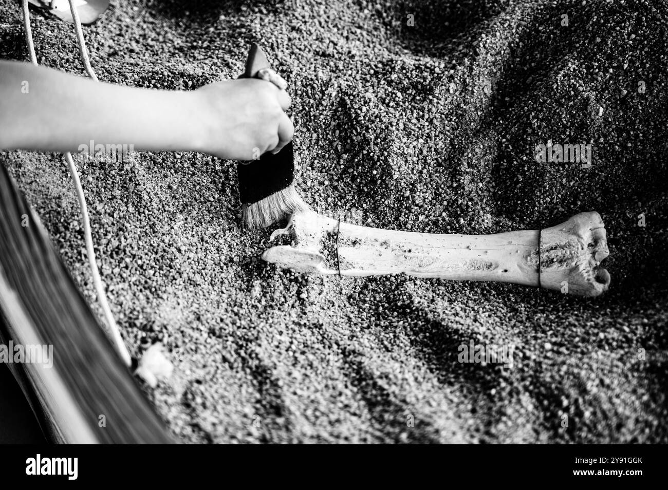 Dig into the sand Black and White Stock Photos & Images - Alamy