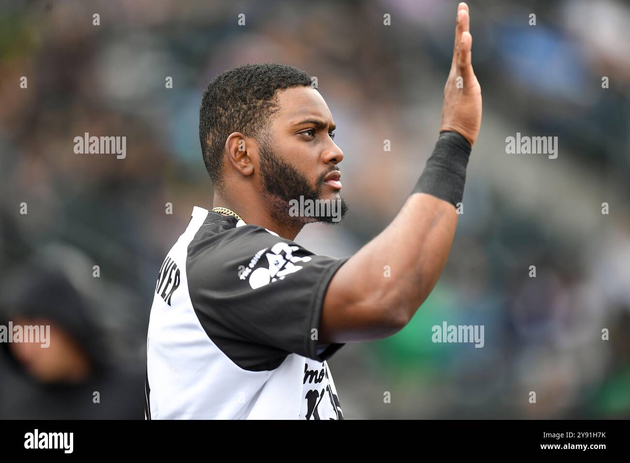 Malmö Oat Milkers Rodolfo Nolasco high fives teammates during an MiLB ...